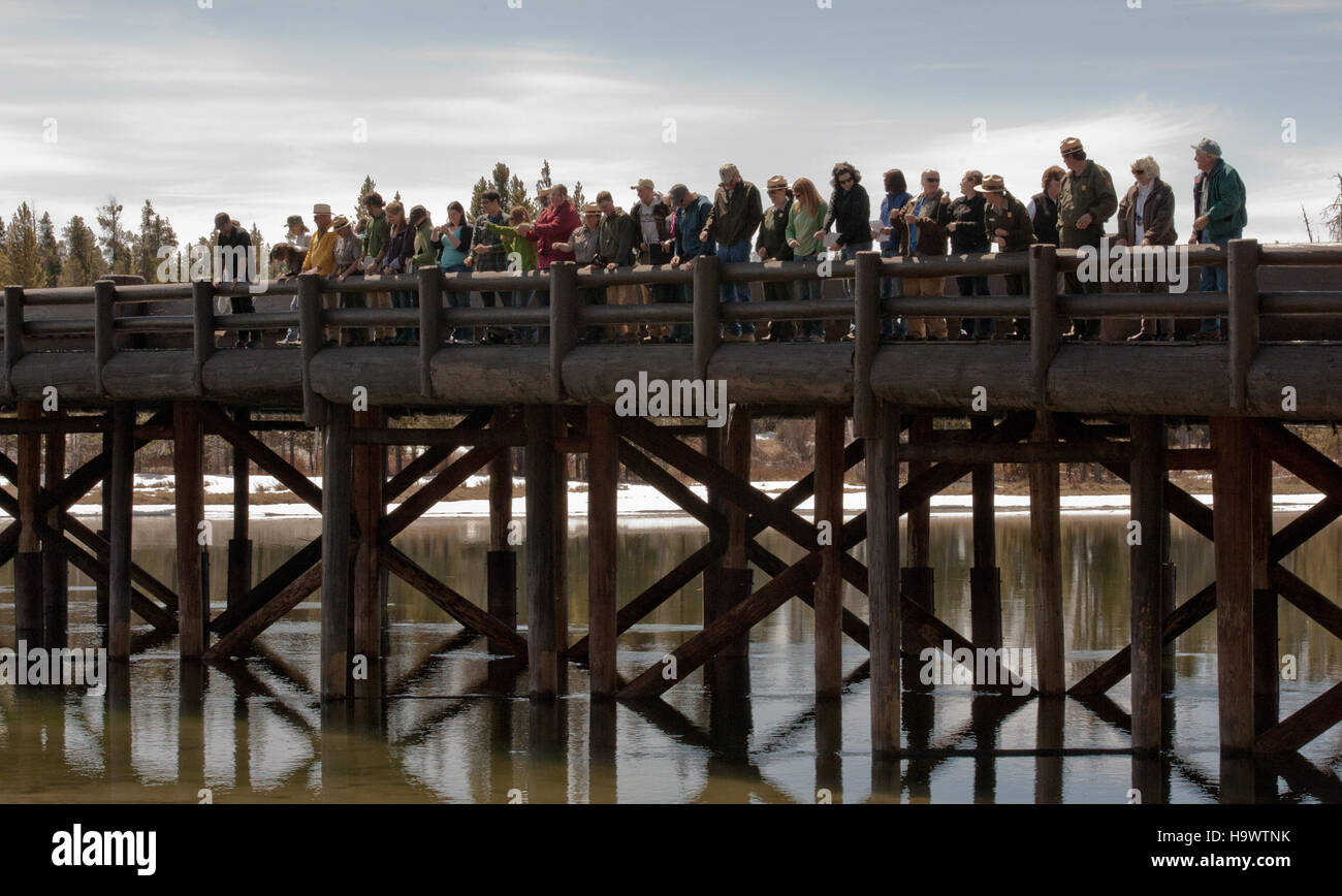Visitors are shown at Fishing Bridge in Yellowstone National Park, a ...