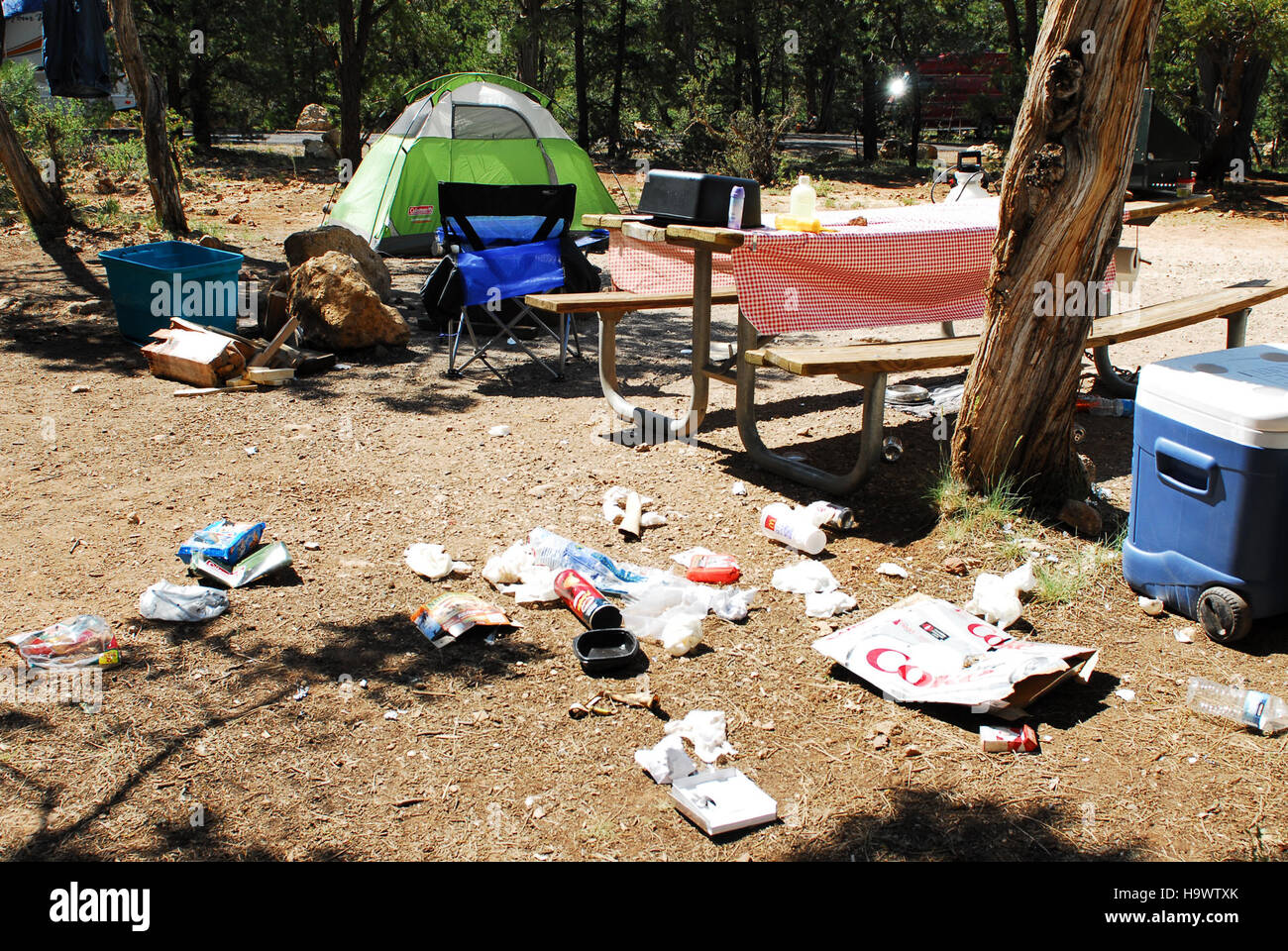 This image captures damage caused by ravens at a campsite within Grand ...
