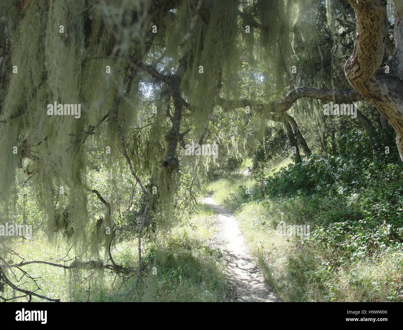 This image shows Fort Ord National Monument, a historic site in ...