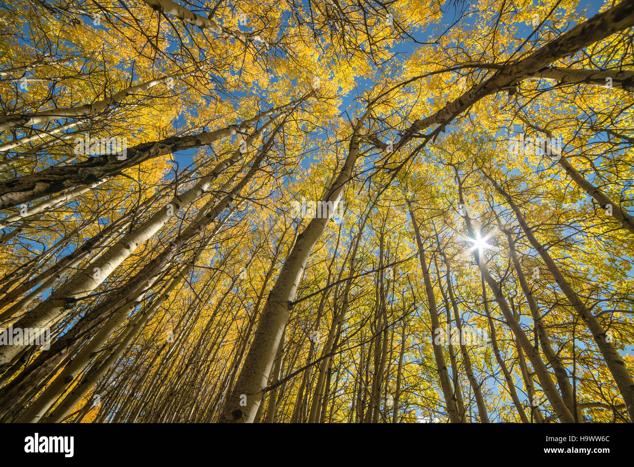 A midday view of the Many Glacier area in Glacier National Park ...