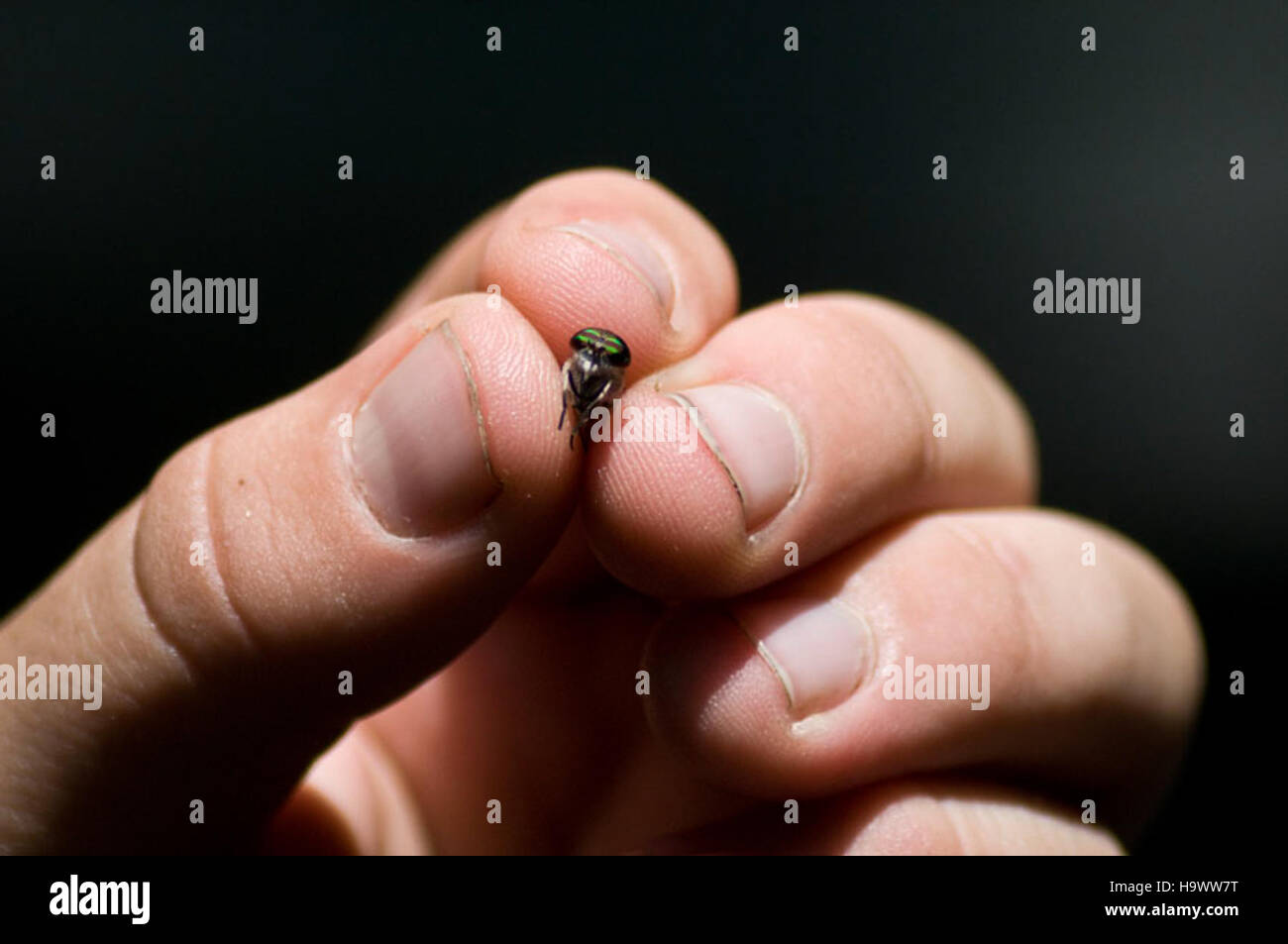 Congaree National Park, located in South Carolina, is renowned for its ...