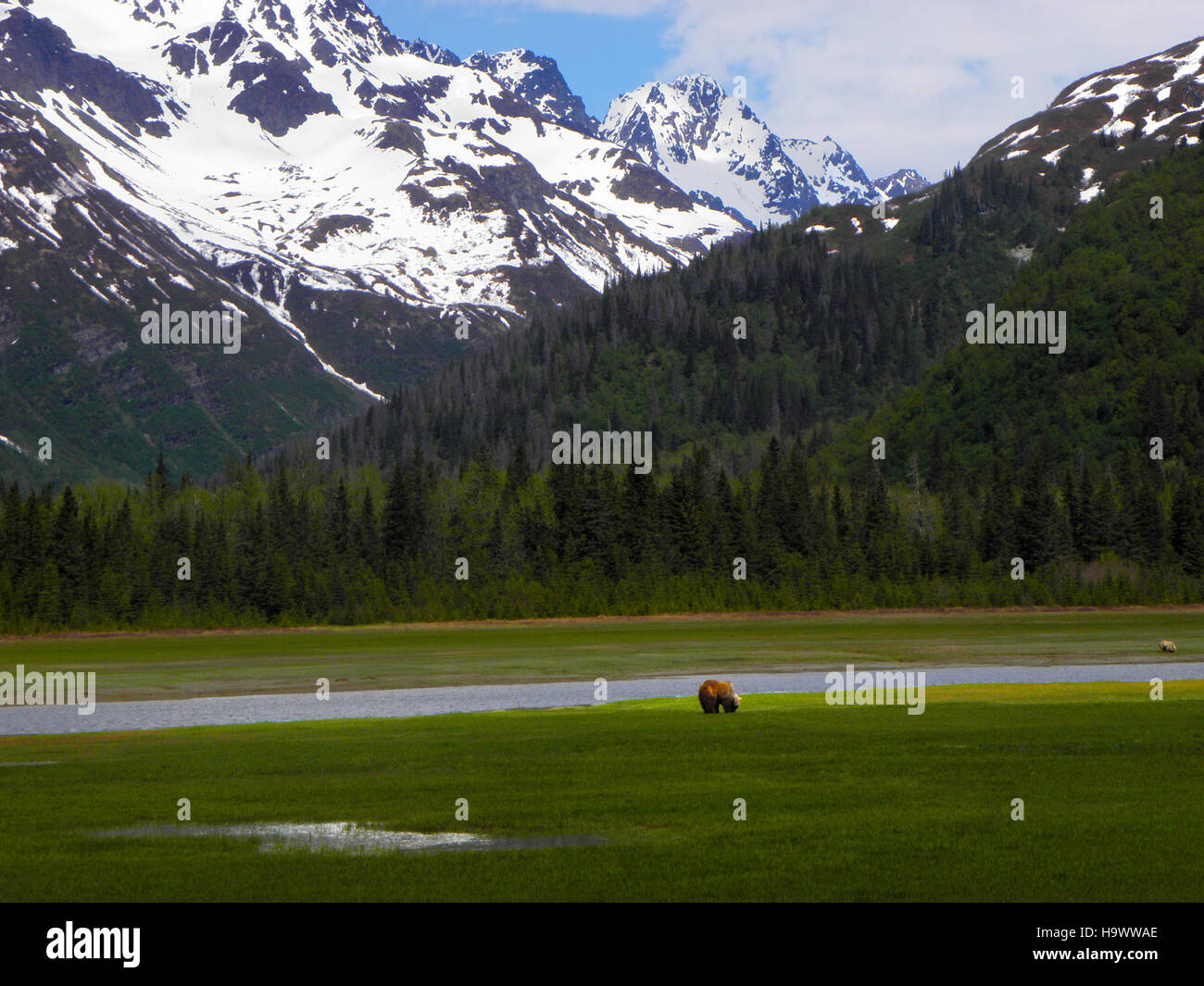 Chigmit mountains hi-res stock photography and images - Alamy