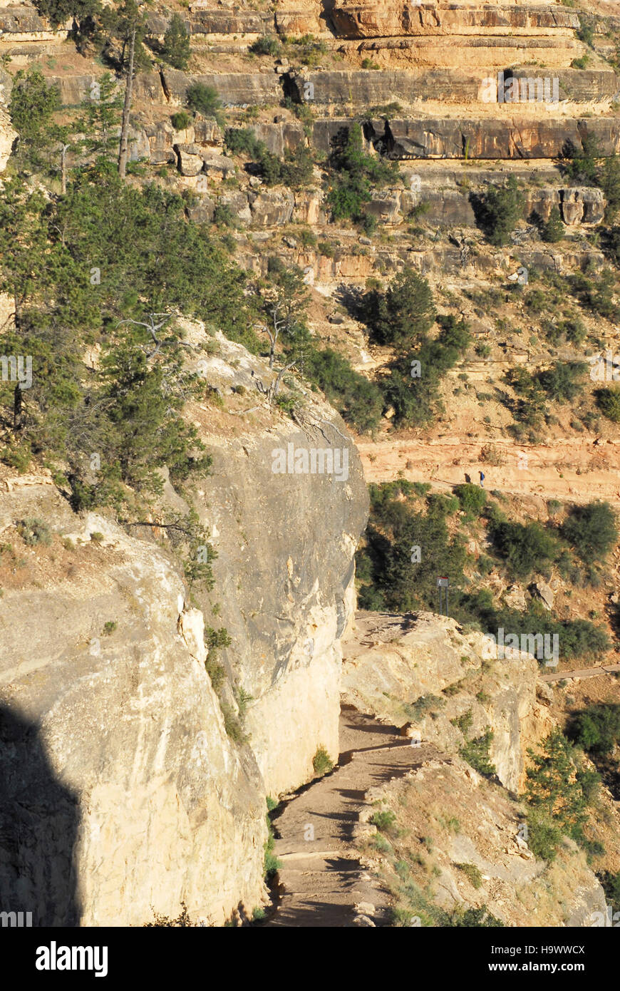 A scenic trail through the Kaibab Limestone in Grand Canyon National ...
