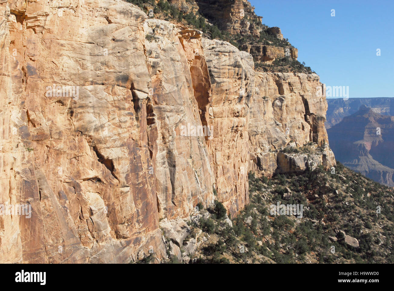 The Coconino Sandstone, a prominent geological formation in Grand ...