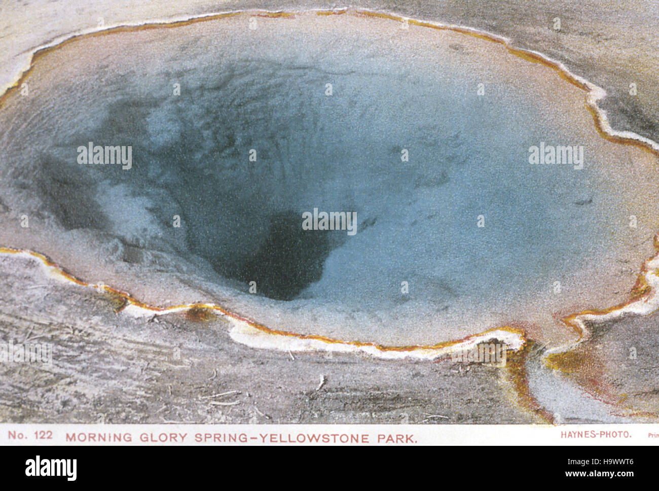 Morning Glory Spring, located in Yellowstone National Park, is known ...