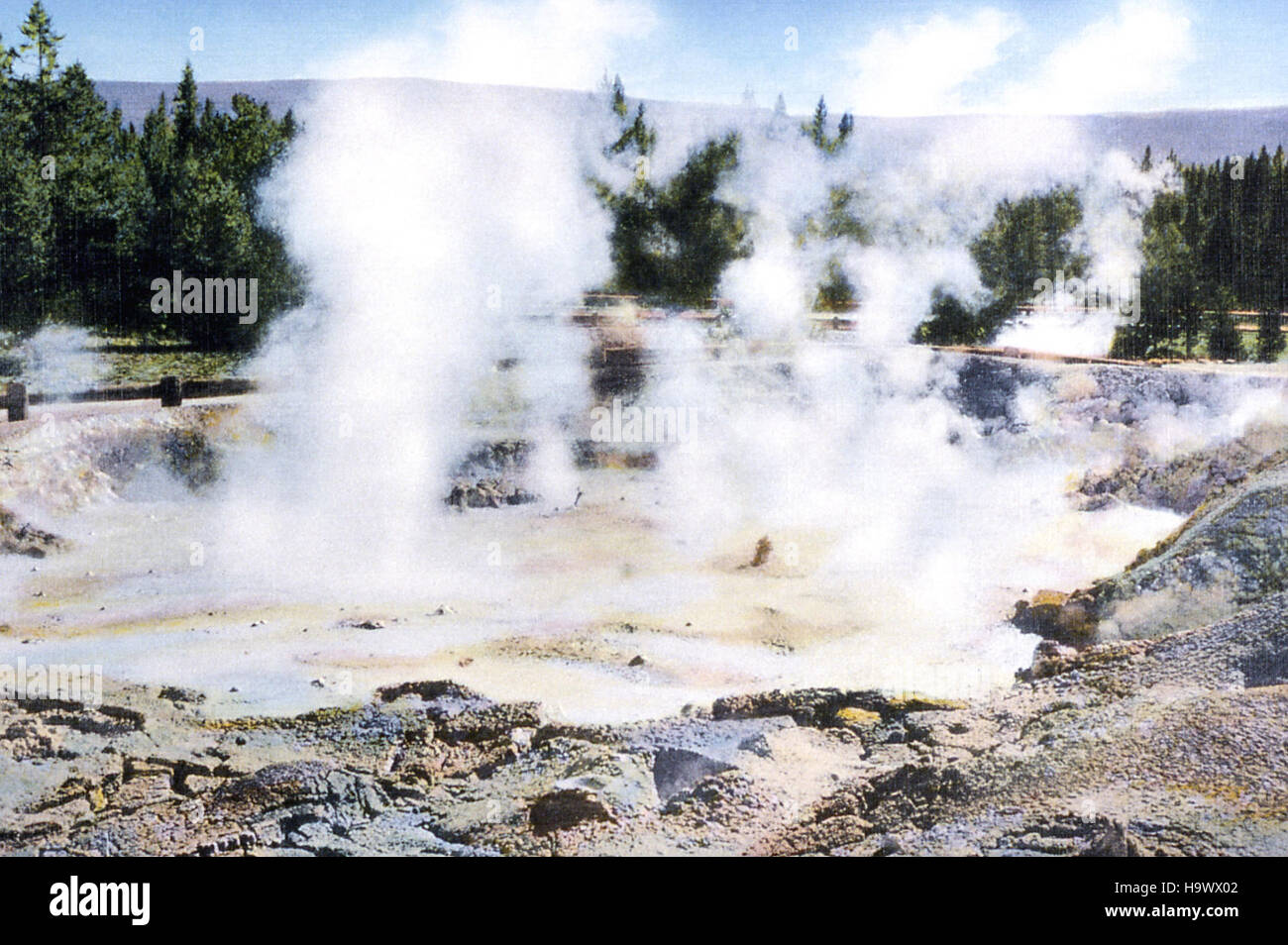 The Fountain Paint Pot in Yellowstone National Park showcases a unique ...