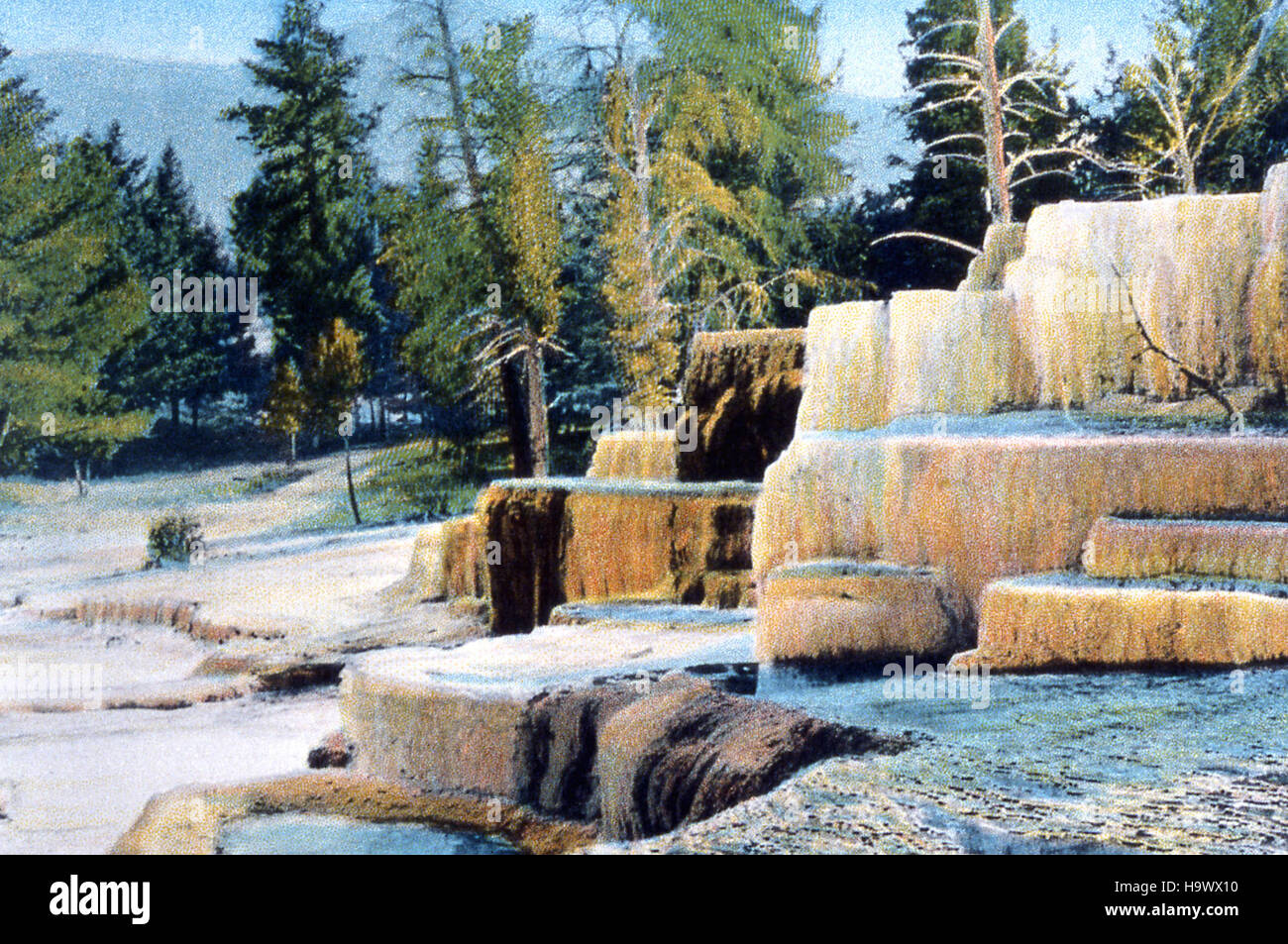 Angel Terrace in Yellowstone National Park is a stunning geothermal ...