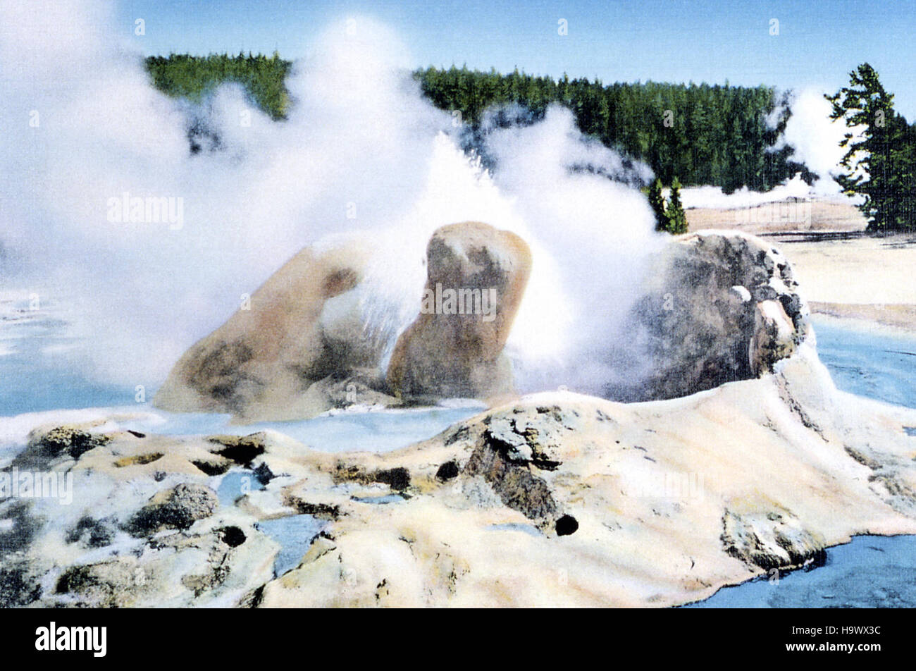 Grotto Geyser, located in Yellowstone National Park, is one of the park ...