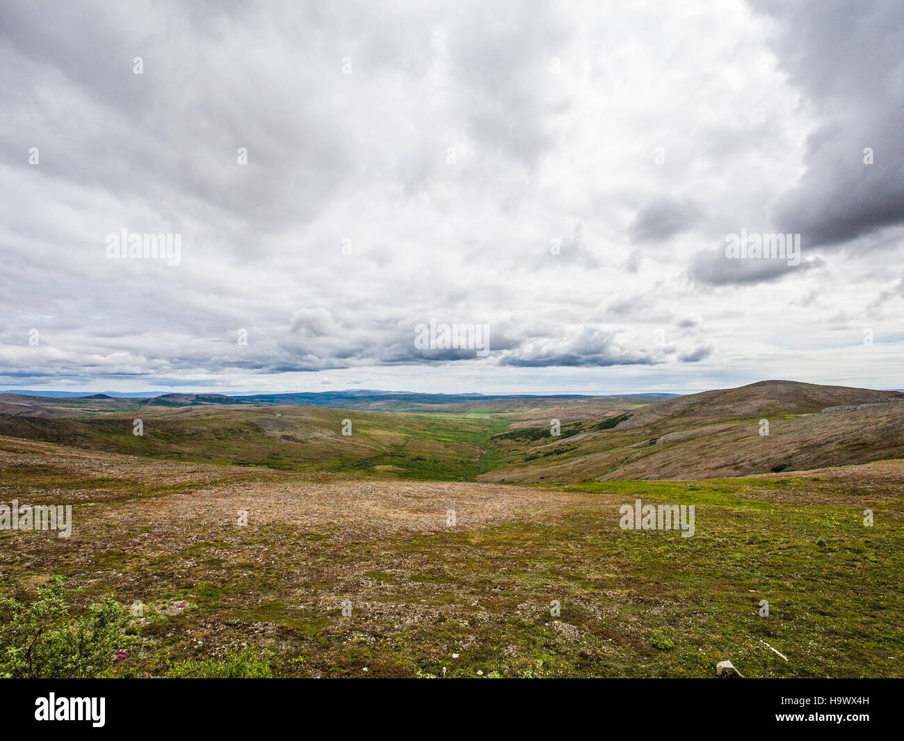 Bering land bridge tundra hi-res stock photography and images - Alamy