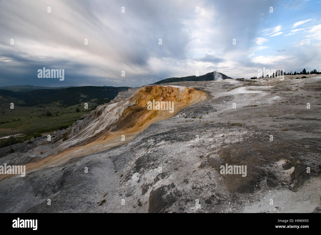Jupiter Terrace at Mammoth in Yellowstone National Park showcases ...