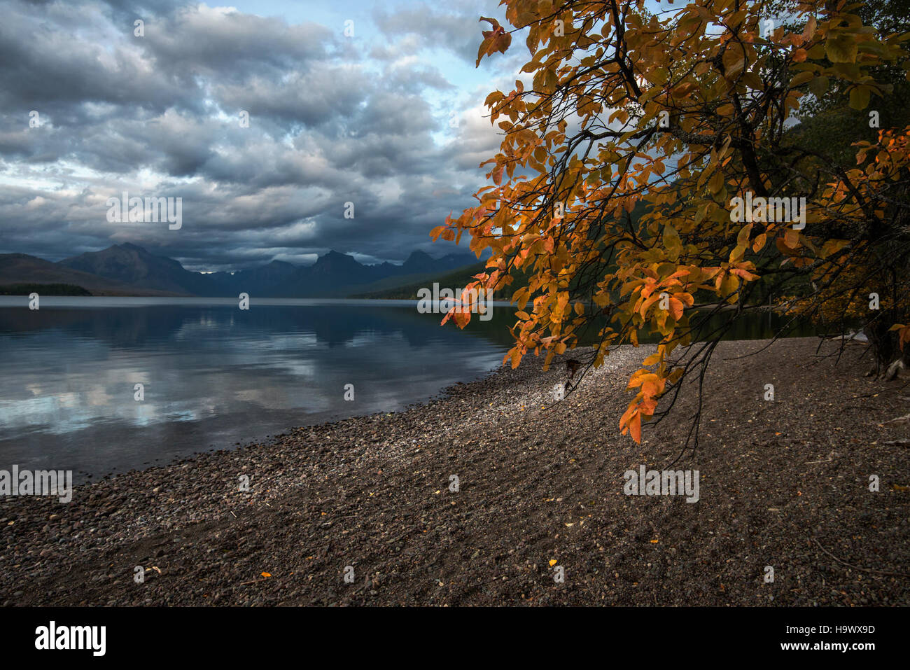 Fall storm hi-res stock photography and images - Alamy