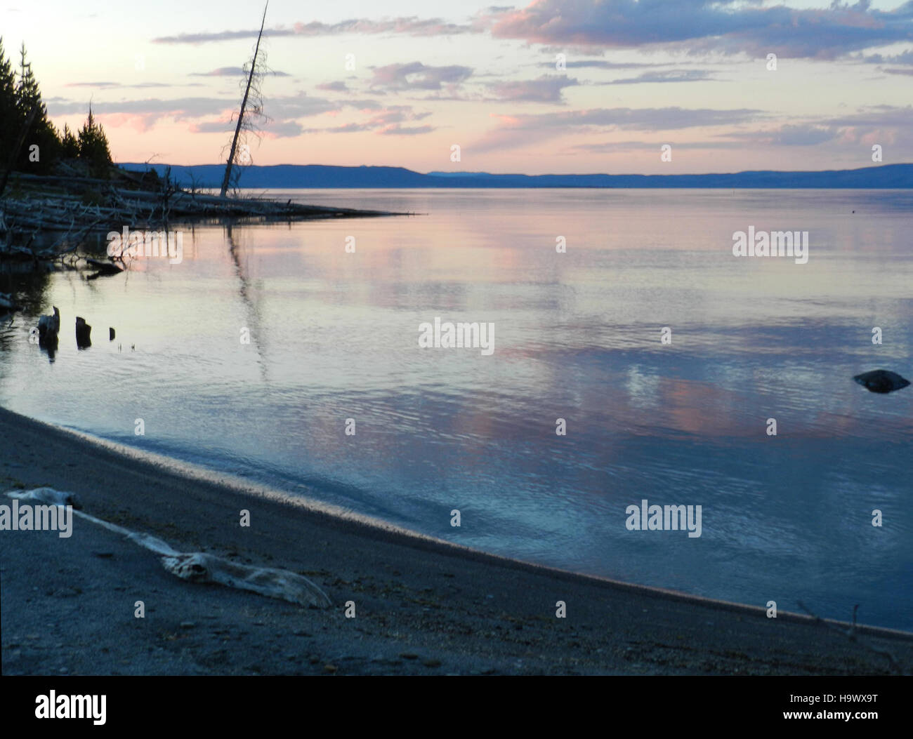 Yellowstone Lake, located in Yellowstone National Park, is a key ...