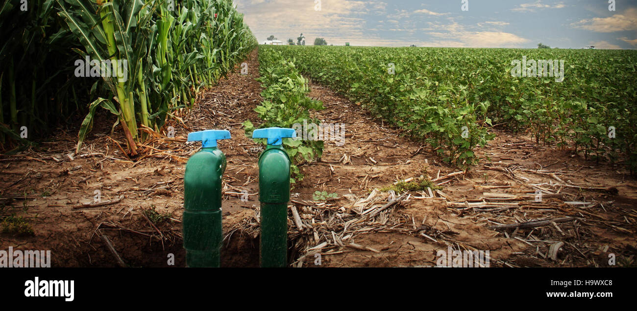 Subsurface irrigation hi-res stock photography and images - Alamy
