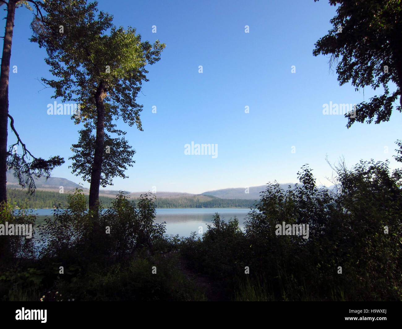 This photograph shows the view from the stage of the Apgar Amphitheater ...