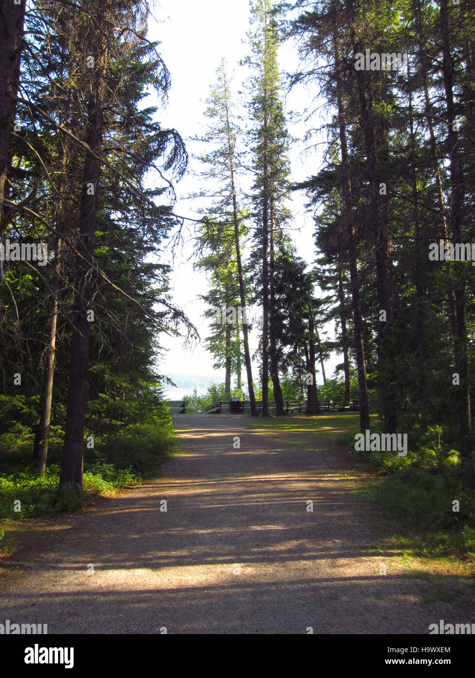 This photograph captures a scenic view of the Apgar Amphitheater ...