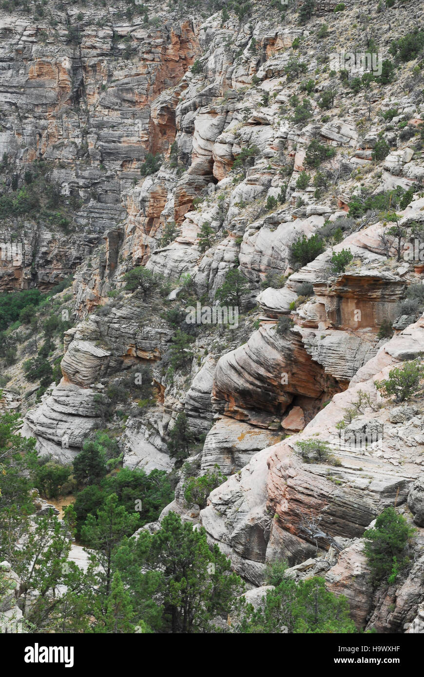 This photograph from *Grand Canyon National Park* shows the *Coconino ...