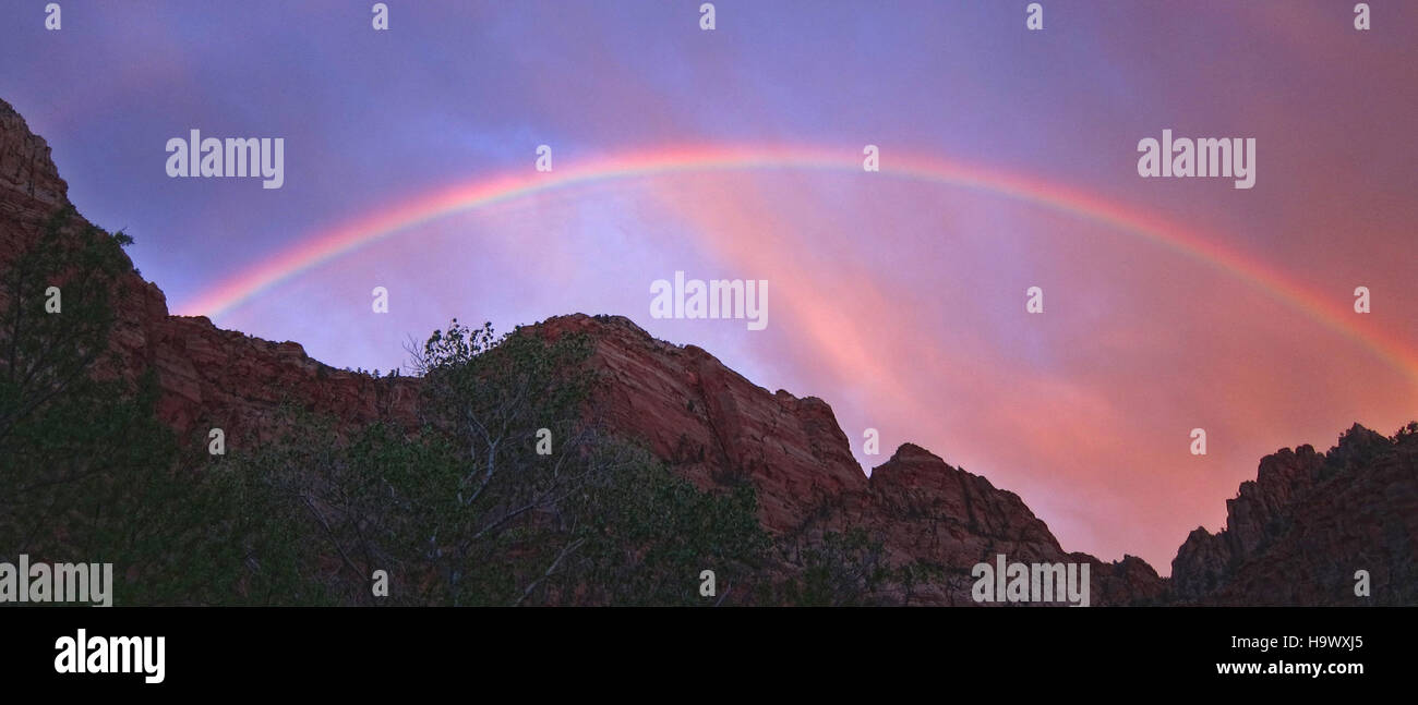 This photograph, captured by Zion National Park, depicts a vibrant ...