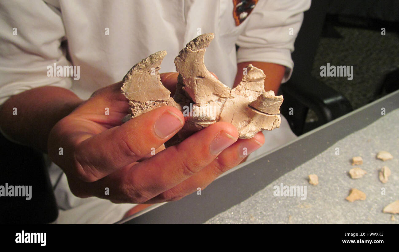 This image showcases the archeological site at Badlands National Park ...