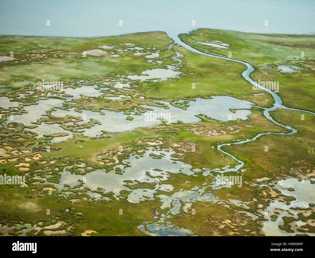 An aerial view of the Bering Land Bridge and shallow lakes. This ...
