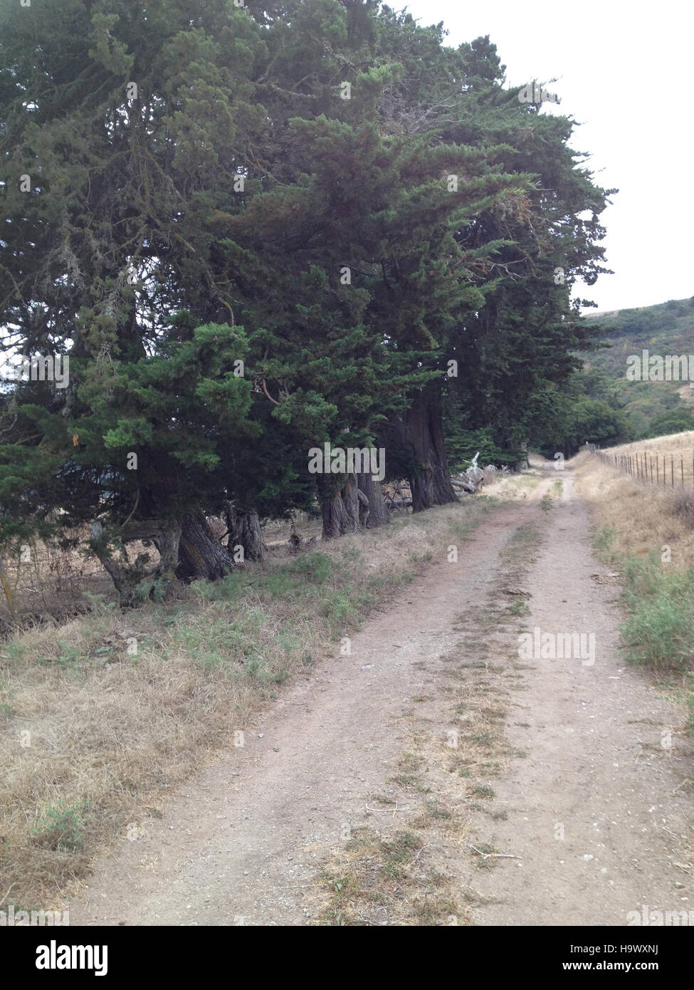 The Anza Trail, a historical route from Mexico to California, is ...