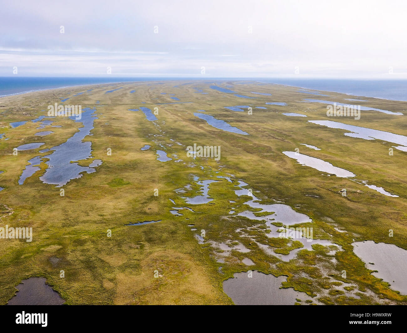 The Bering Land Bridge, which once connected Asia and North America, is ...