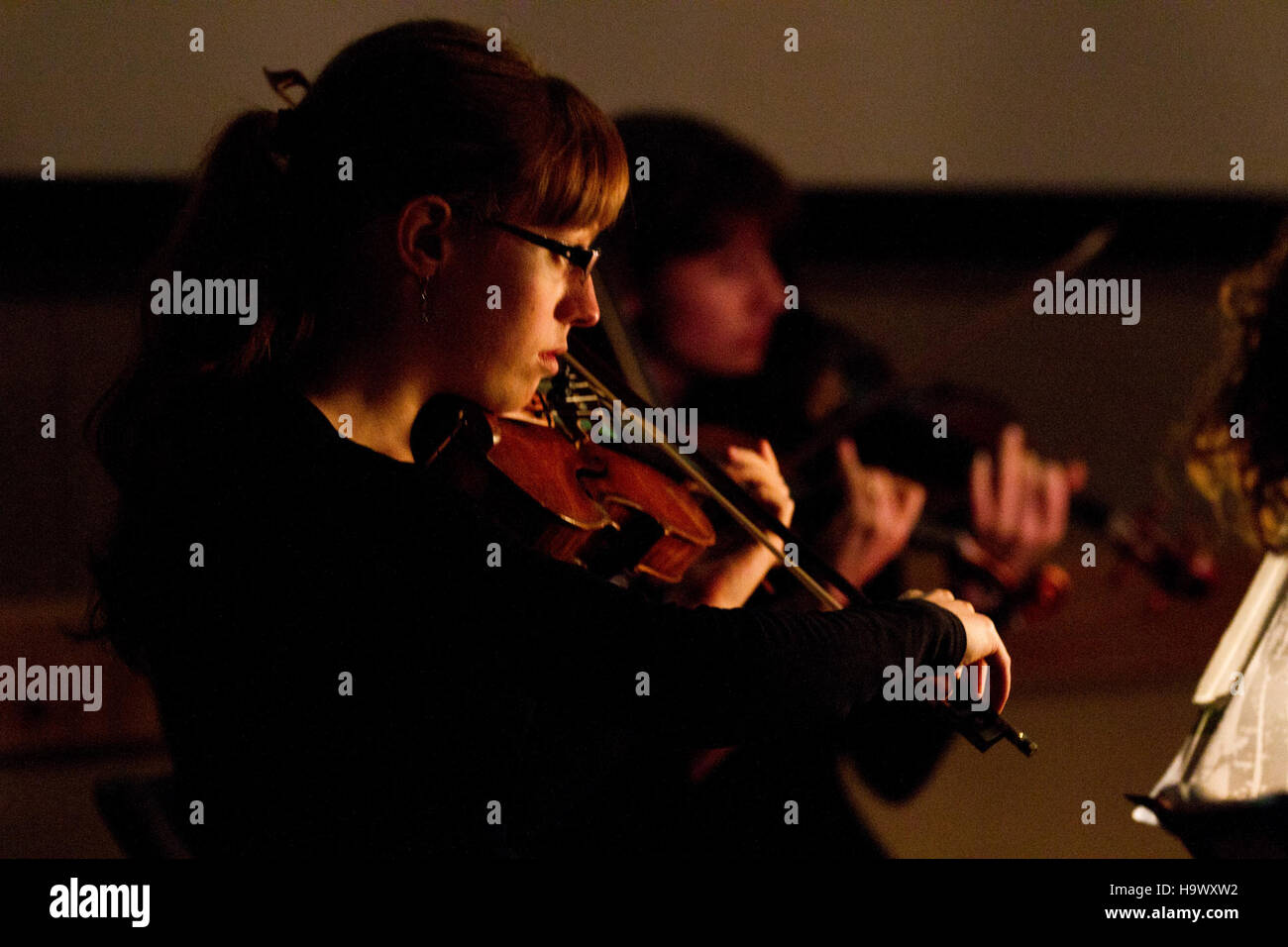 This image features the DVC Concert in Denali National Park, showcasing ...