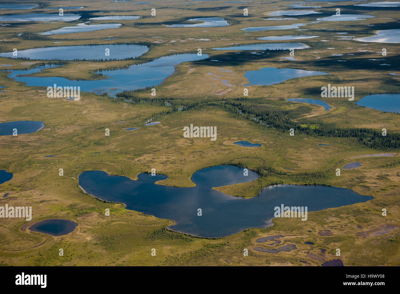 This photograph shows the wetlands along the Kobuk River in Alaska. The ...