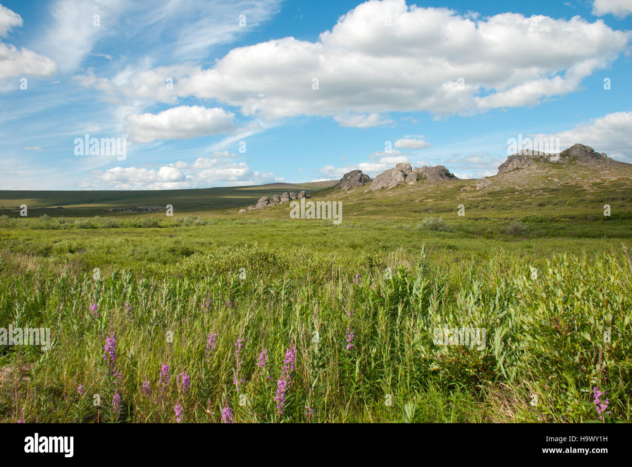 This summer landscape image shows the Bering Land Bridge, a natural ...