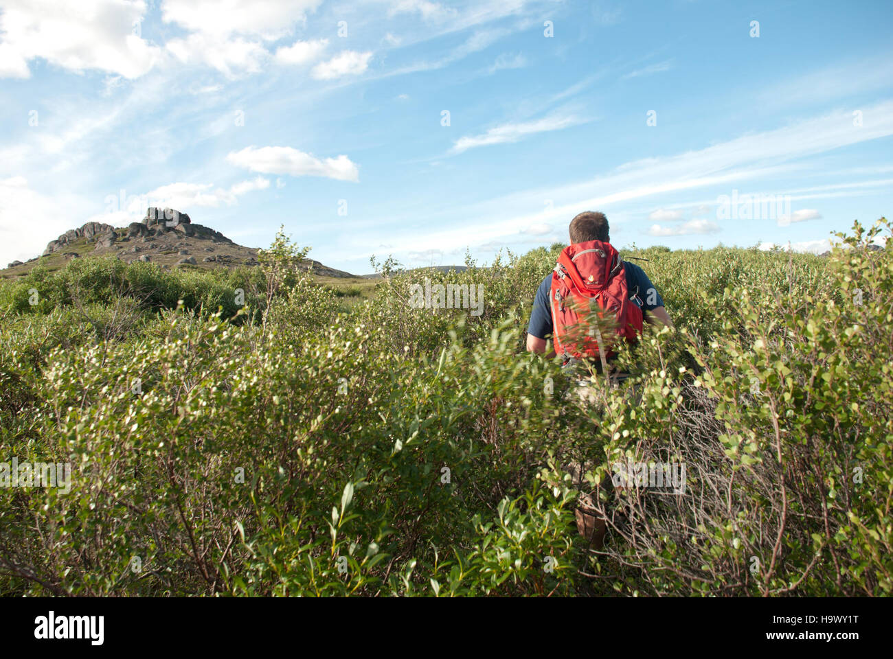 This image captures the Bering Land Bridge, where ancient human ...