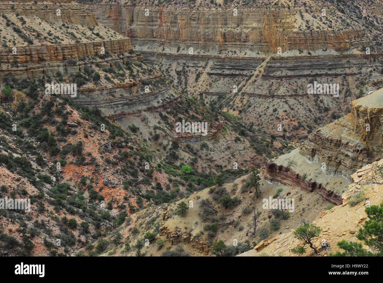 This photograph showcases the striking landscape of Muav in Bright ...
