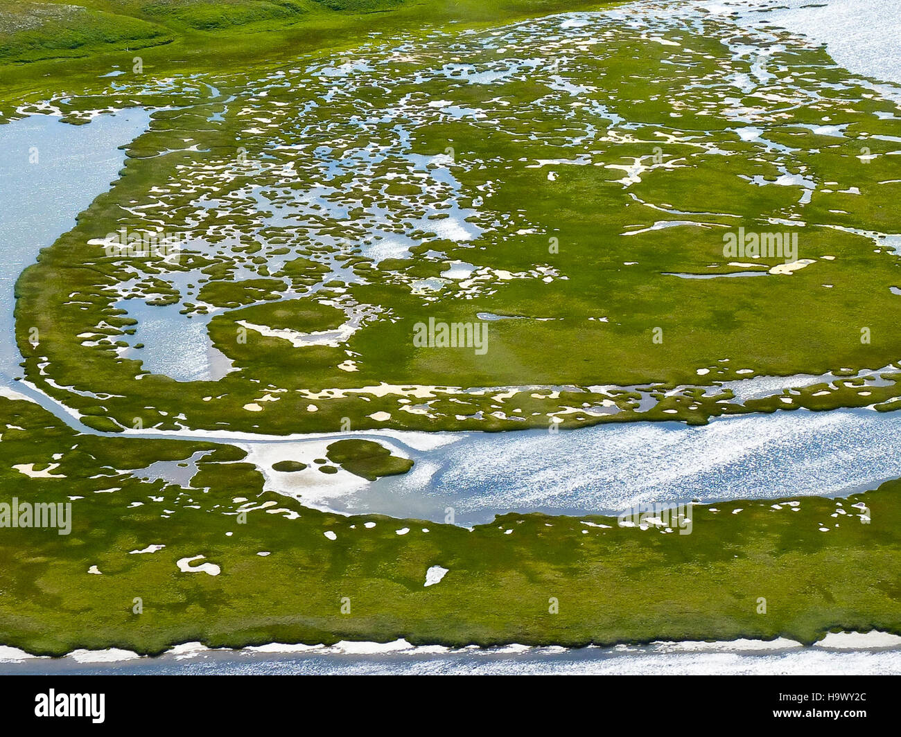Human migration beringia hi-res stock photography and images - Alamy