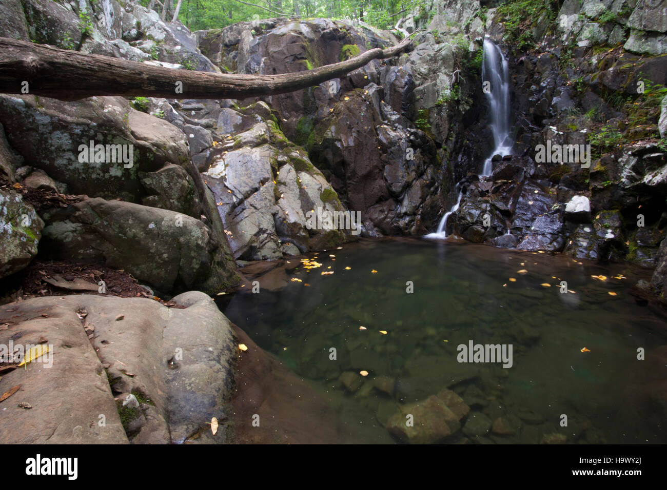 This scenic photo captures Rose River Falls, located along the Rose ...