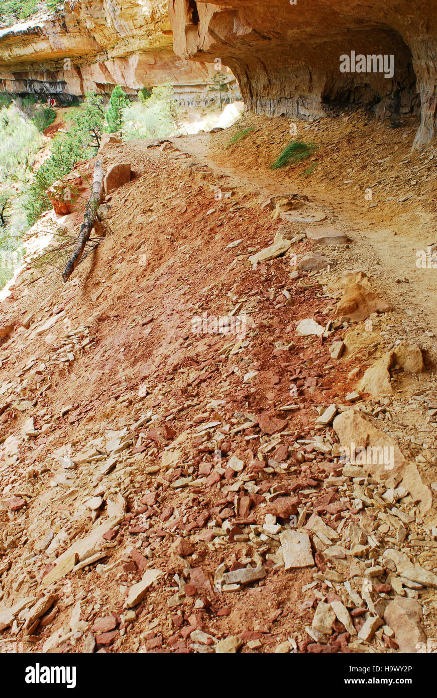 This image showcases the Toroweap Formation within the Grand Canyon ...