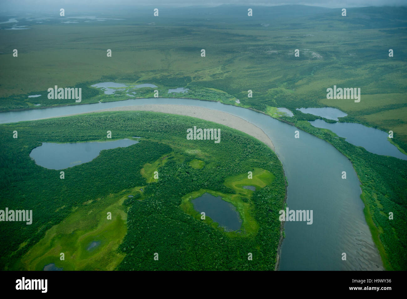 The wetlands along the Kobuk River in Alaska are an important ecosystem ...