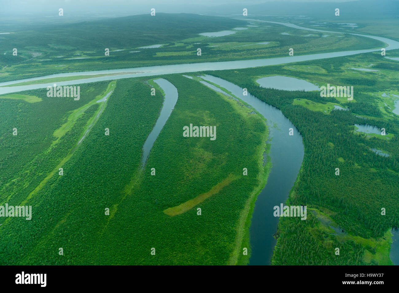 A photograph of the wetlands along the Kobuk River in Alaska ...