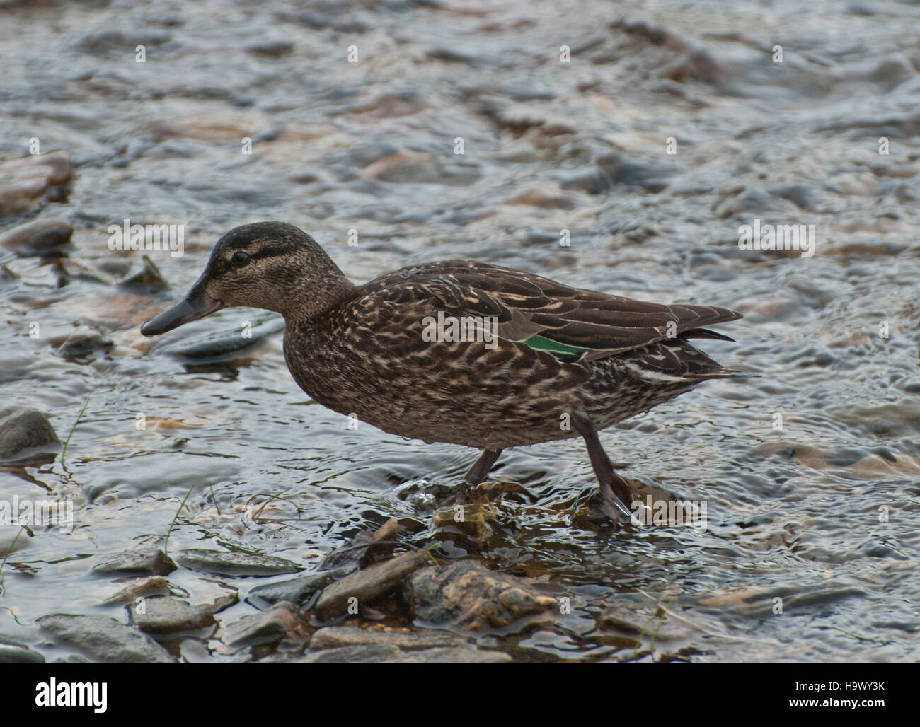 The Bering Land Bridge, a natural geological feature that once ...