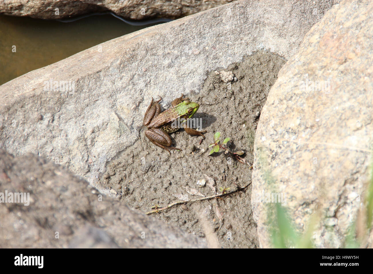 Talmage hi-res stock photography and images - Alamy