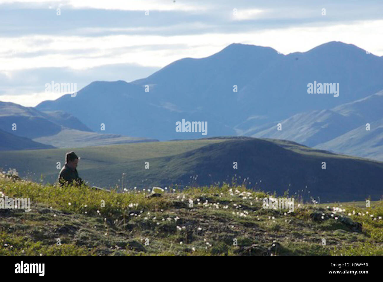 This image captures the rugged beauty of Alaska, where the wilderness ...