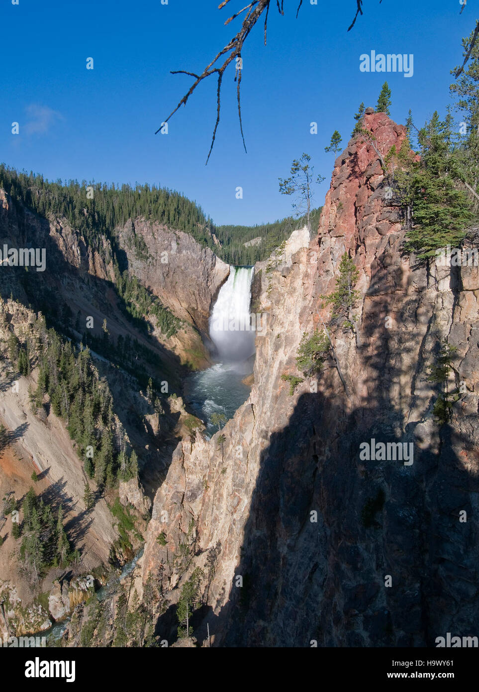 The Lower Falls of the Yellowstone River, located in Yellowstone ...