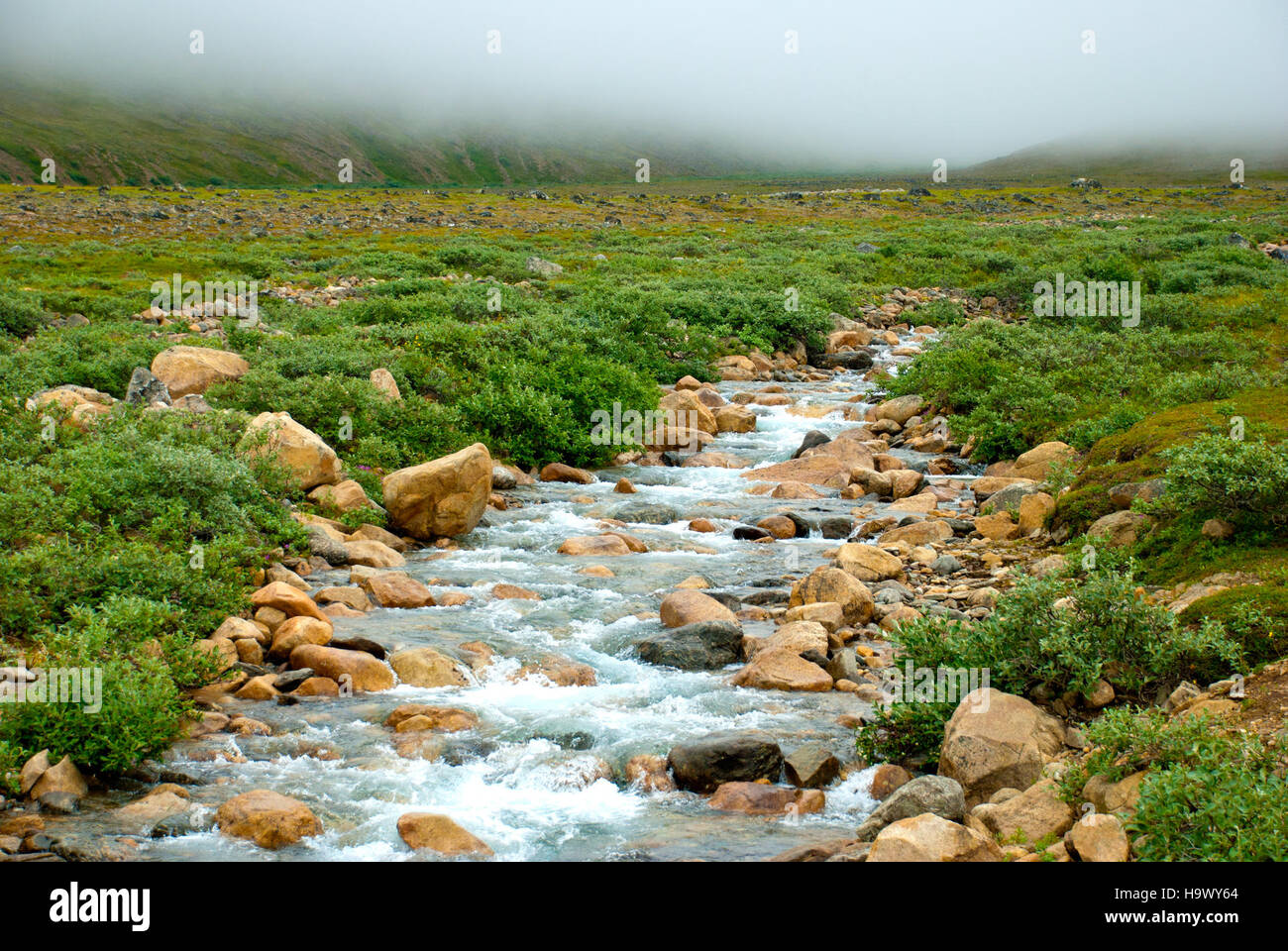 A photograph of the Bering Land Bridge area, showcasing a creek near ...
