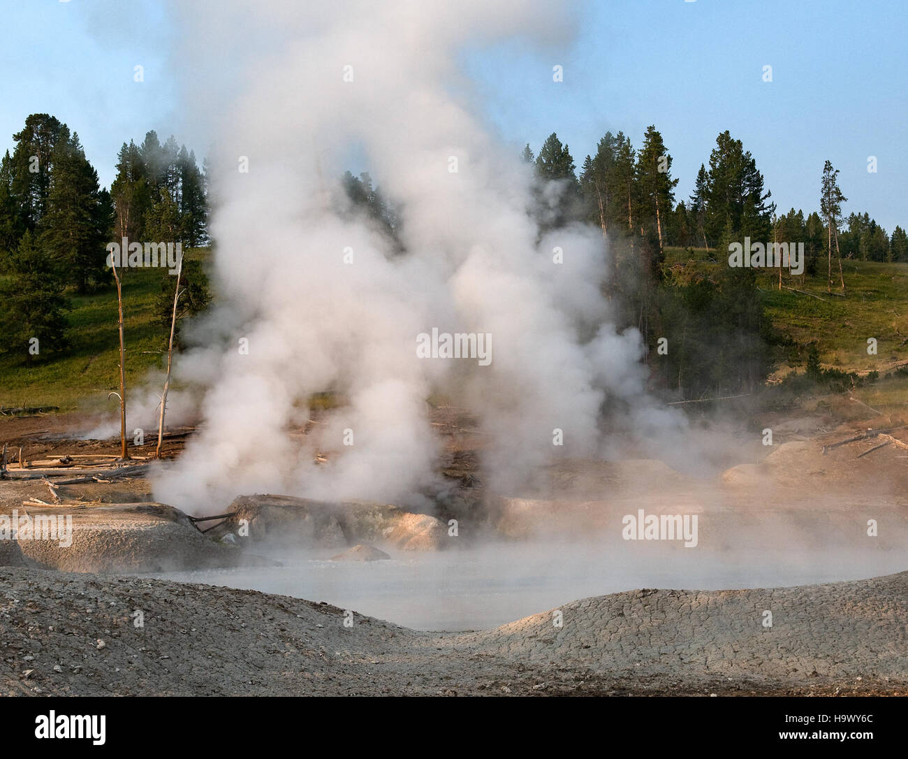 yellowstonenps 28883623923 Mud Geyser Stock Photo - Alamy