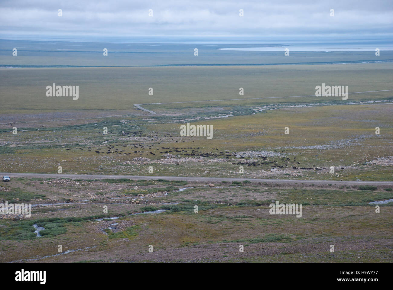 The Bering Land Bridge is a historical land connection between Asia and ...