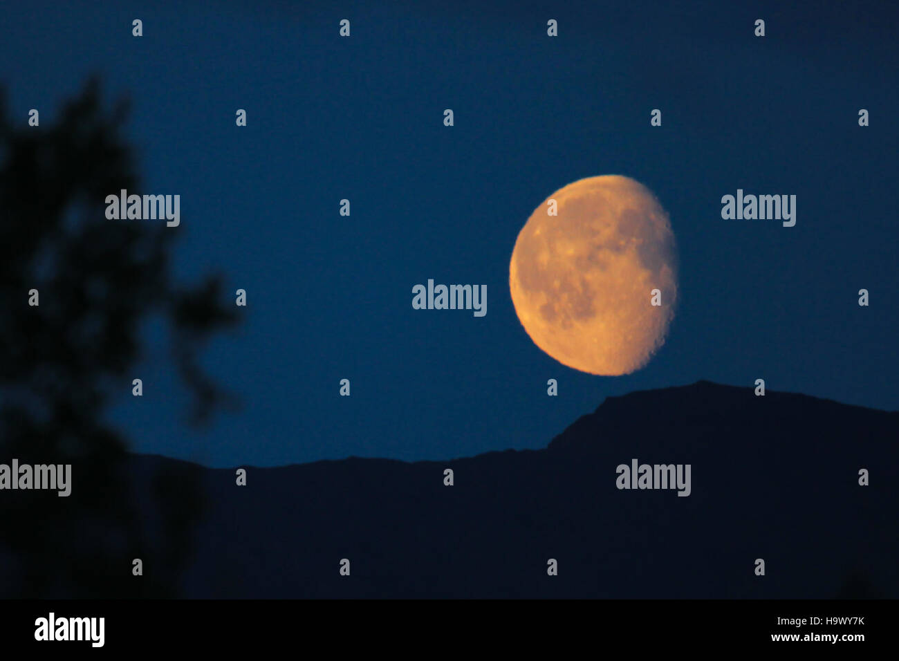 This photograph titled 'Red Moon' captures a striking lunar event ...