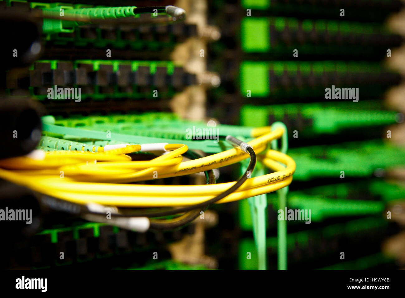 This image shows a detailed view of multi-colored wires in a network ...