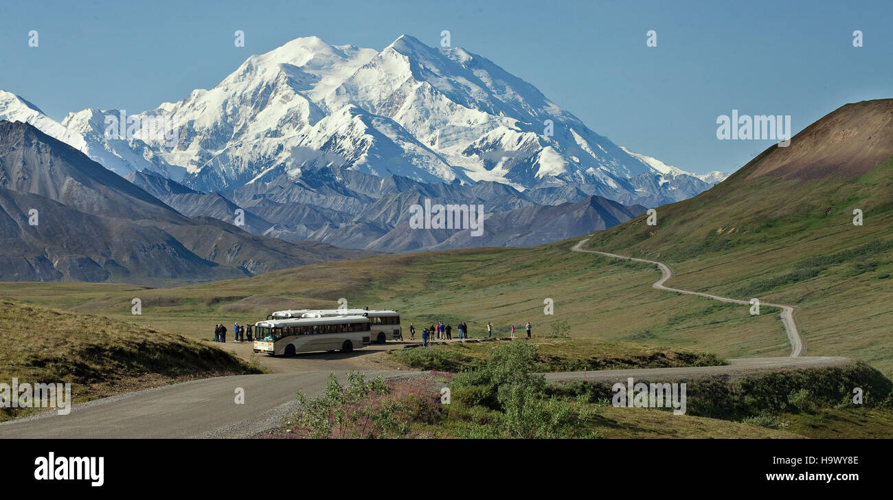 A group of visitors enjoys the scenic beauty of Denali National Park in ...