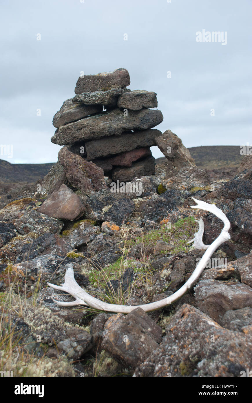 The Bering Land Bridge, once connecting Asia and North America, is ...