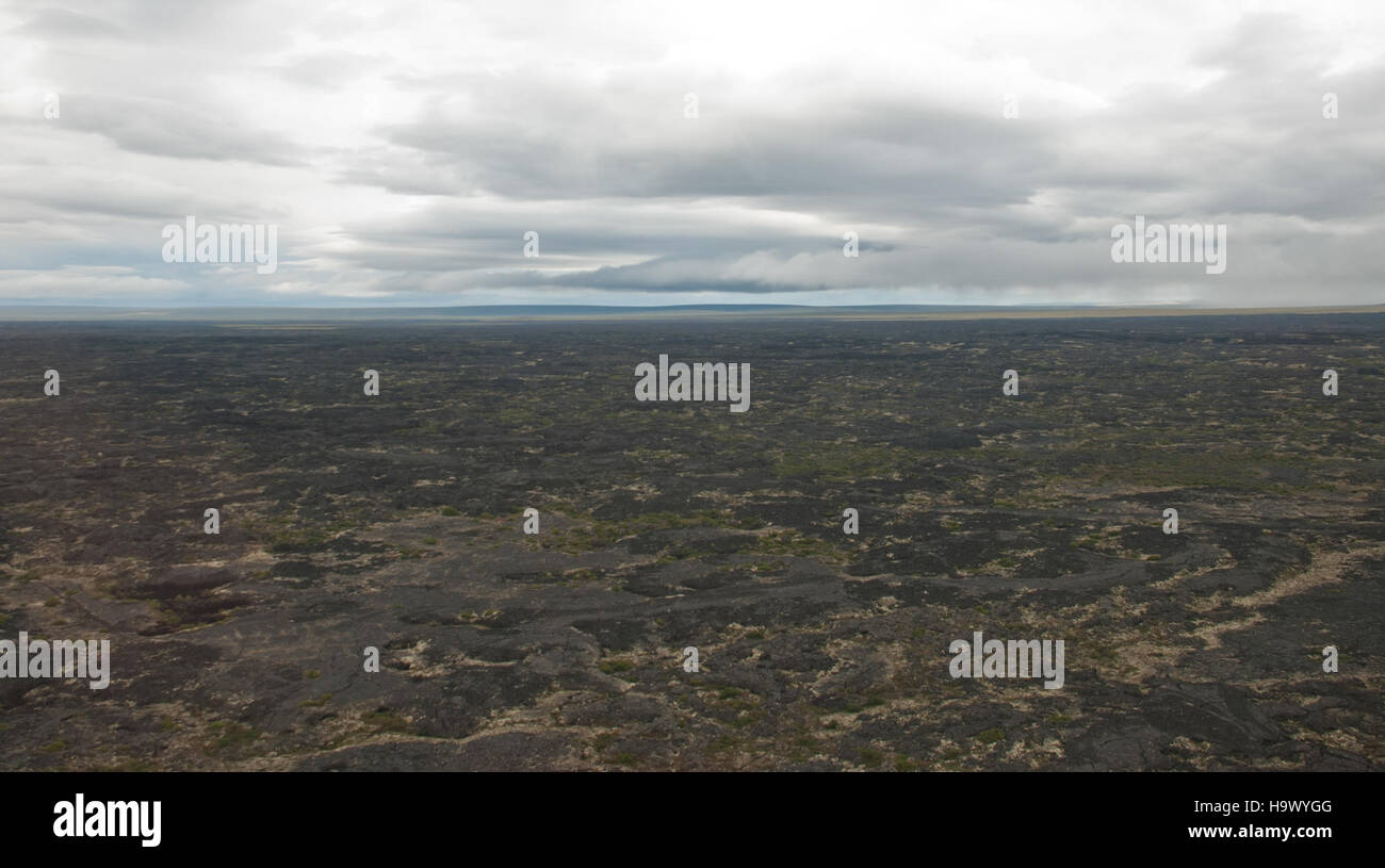 The *Bering Land Bridge* illustration captures the ancient land bridge ...