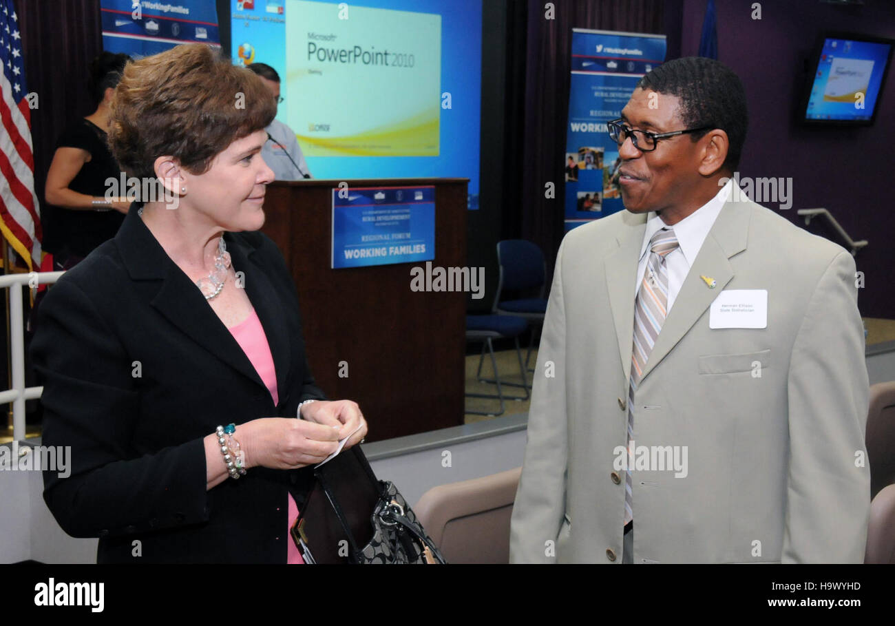 This image refers to a rural development housing project in Petersburg ...