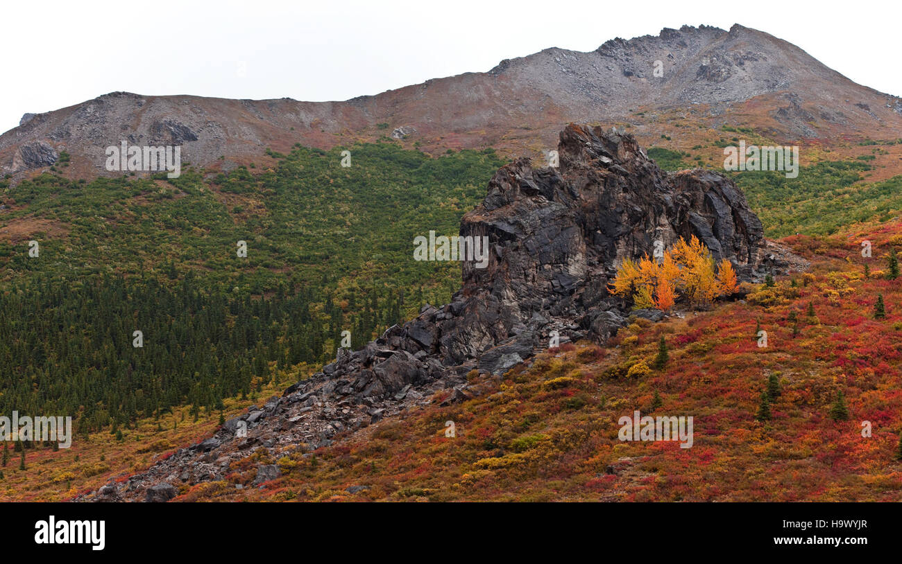 Savage Rock Fall, located in Denali National Park, Alaska, is captured ...
