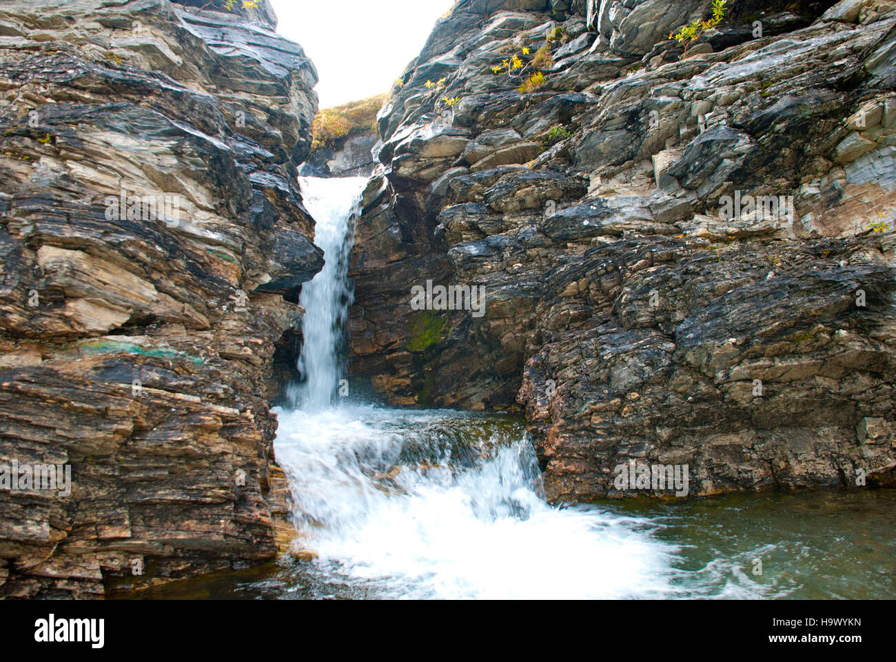 A historical view of the Bering Land Bridge, which once connected Asia ...